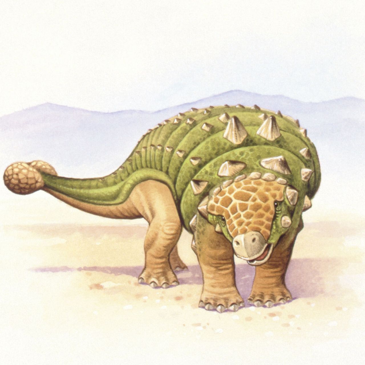 scutellosaurus predators