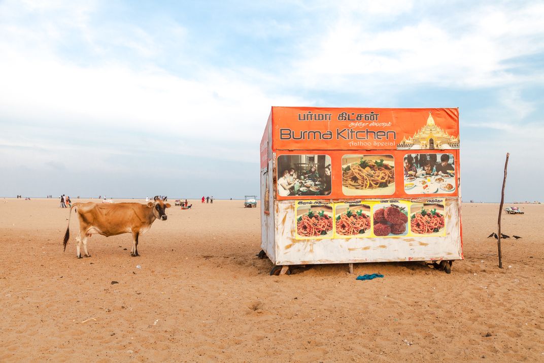 Marina Beach, Chennai, food stall with cow | Smithsonian Photo Contest ...