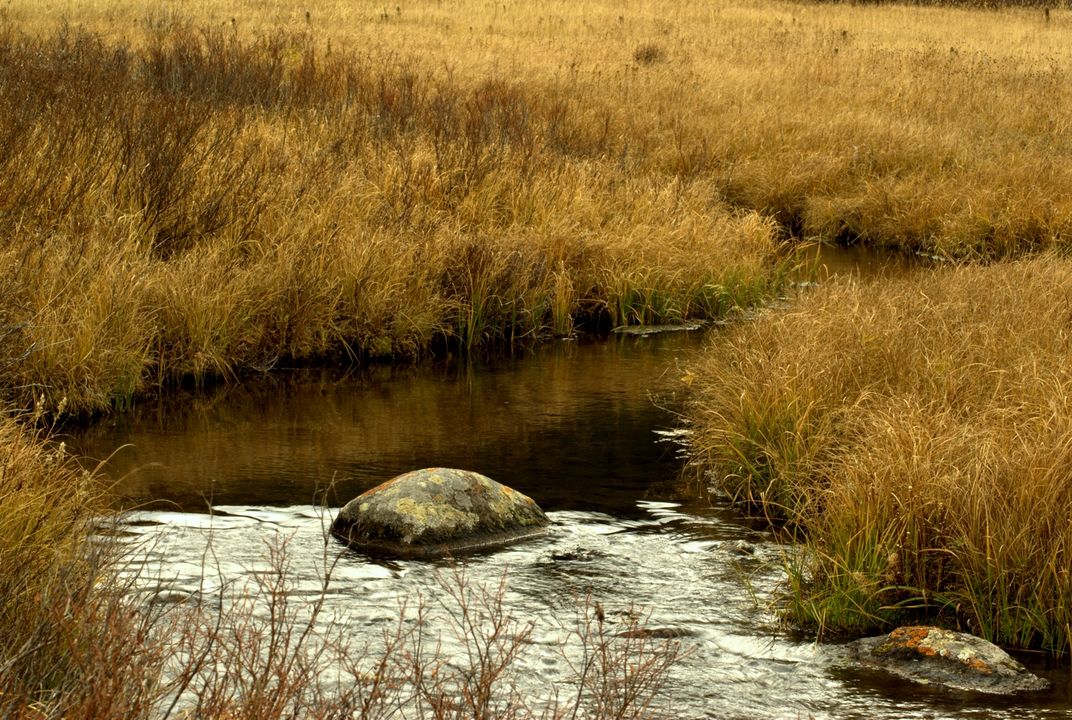 Give said the little stream, are the words to a childhood song, that ...