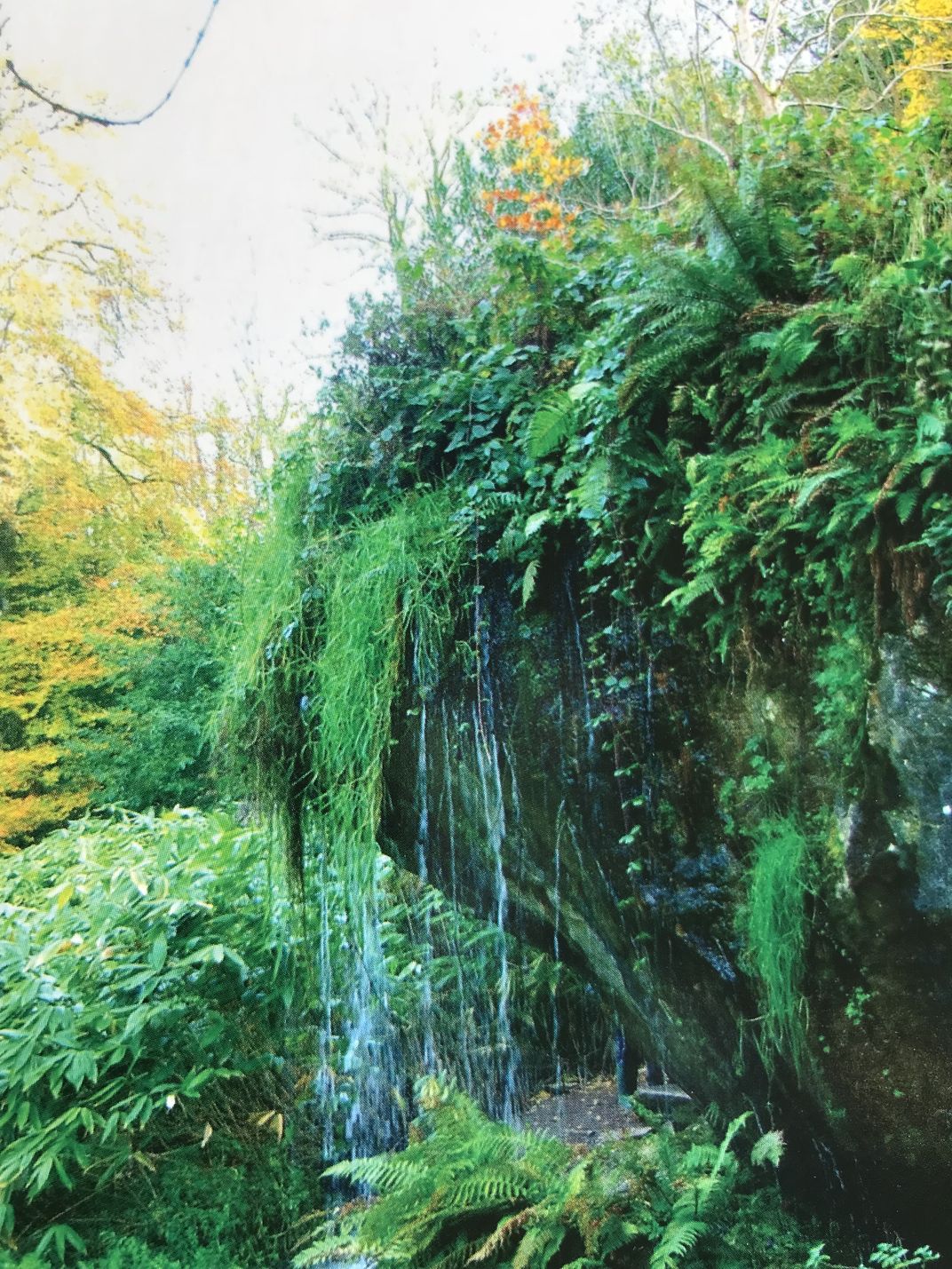 Poison Garden in Ireland | Smithsonian Photo Contest | Smithsonian Magazine