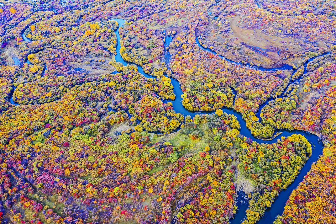 Wetland autumn | Smithsonian Photo Contest | Smithsonian Magazine