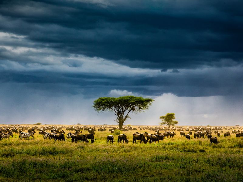 African prairie | Smithsonian Photo Contest | Smithsonian Magazine