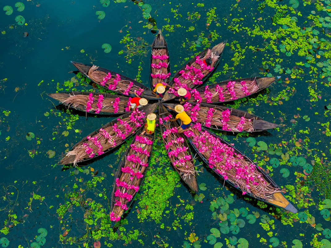 Farmers collecting the water lilies | Smithsonian Photo Contest ... Farmers collecting the water lilies | Smithsonian Photo Contest ...