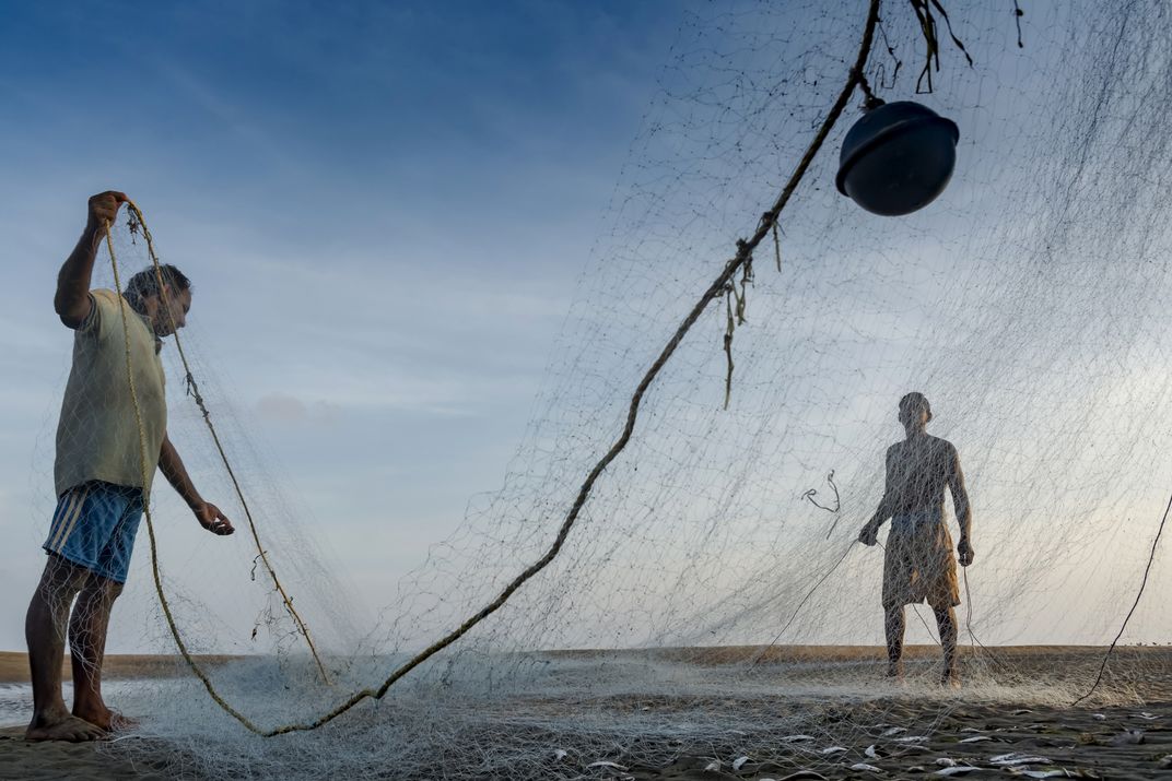 Netting | Smithsonian Photo Contest | Smithsonian Magazine