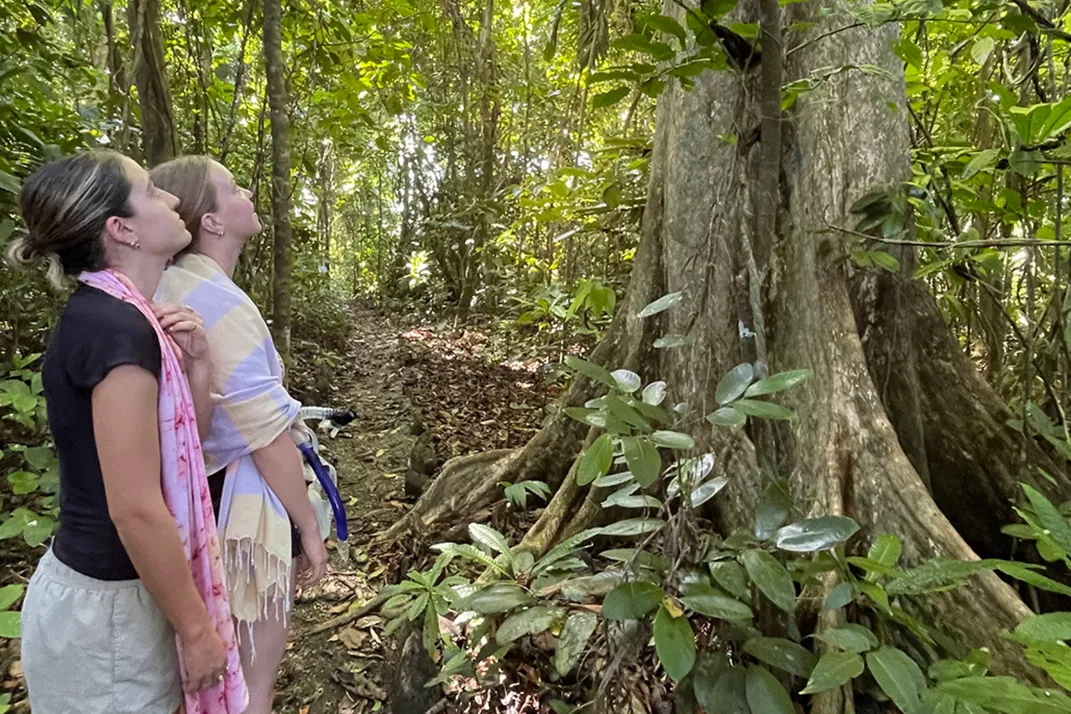 Why Is Tetepare the South Pacific’s Largest Uninhabited Island?