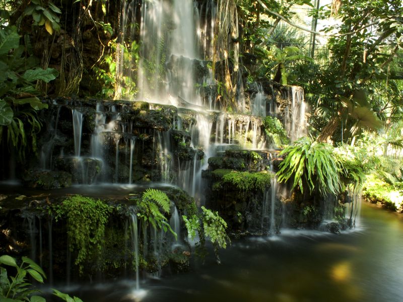 A very beautiful waterfall in the rainforest | Smithsonian Photo ...