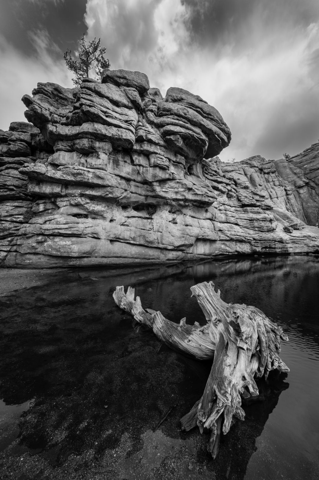 Rock formations and the tree trunk | Smithsonian Photo Contest ...