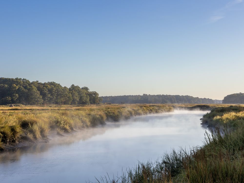 Parker River | Smithsonian Photo Contest | Smithsonian Magazine