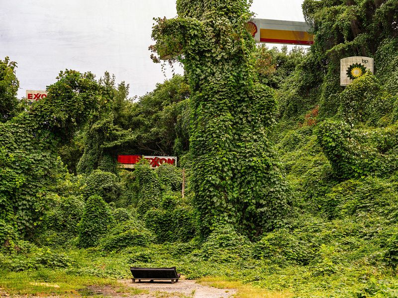 Kudzilla (Fossil Fuels Edition) | Smithsonian Photo Contest ...