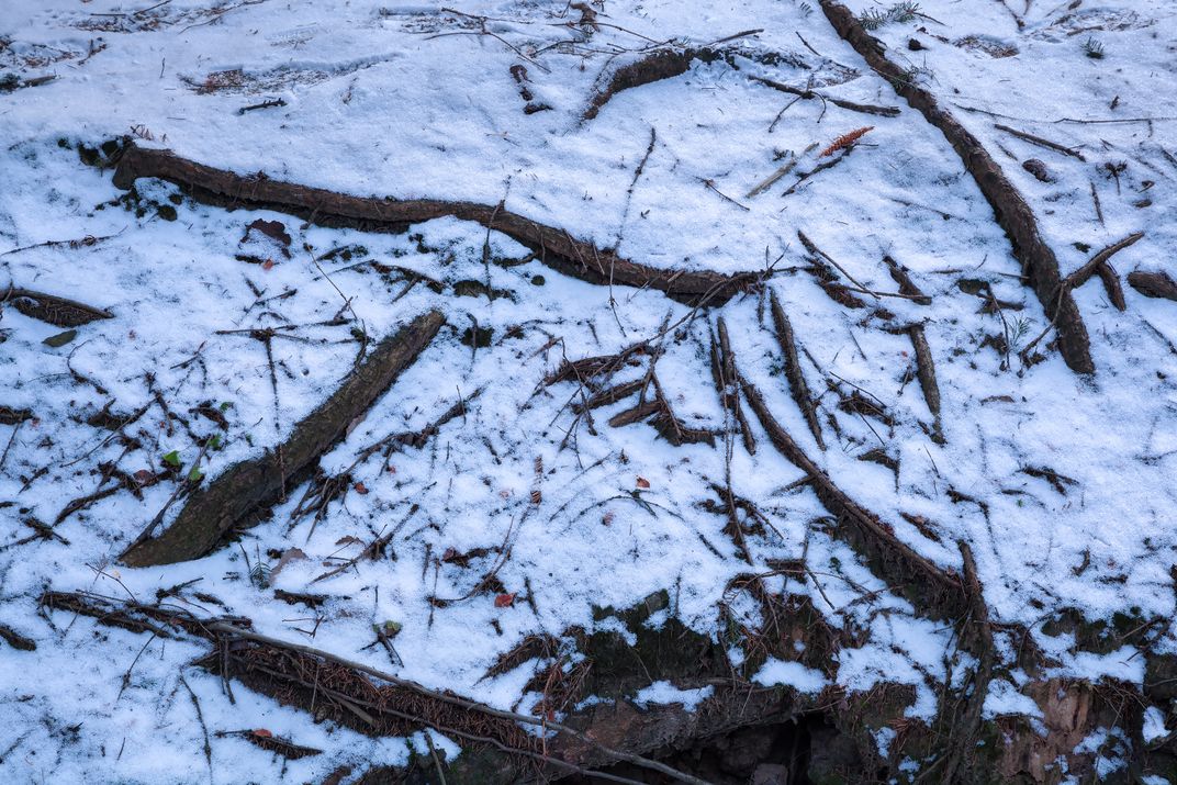 Lines In The Snow | Smithsonian Photo Contest | Smithsonian Magazine