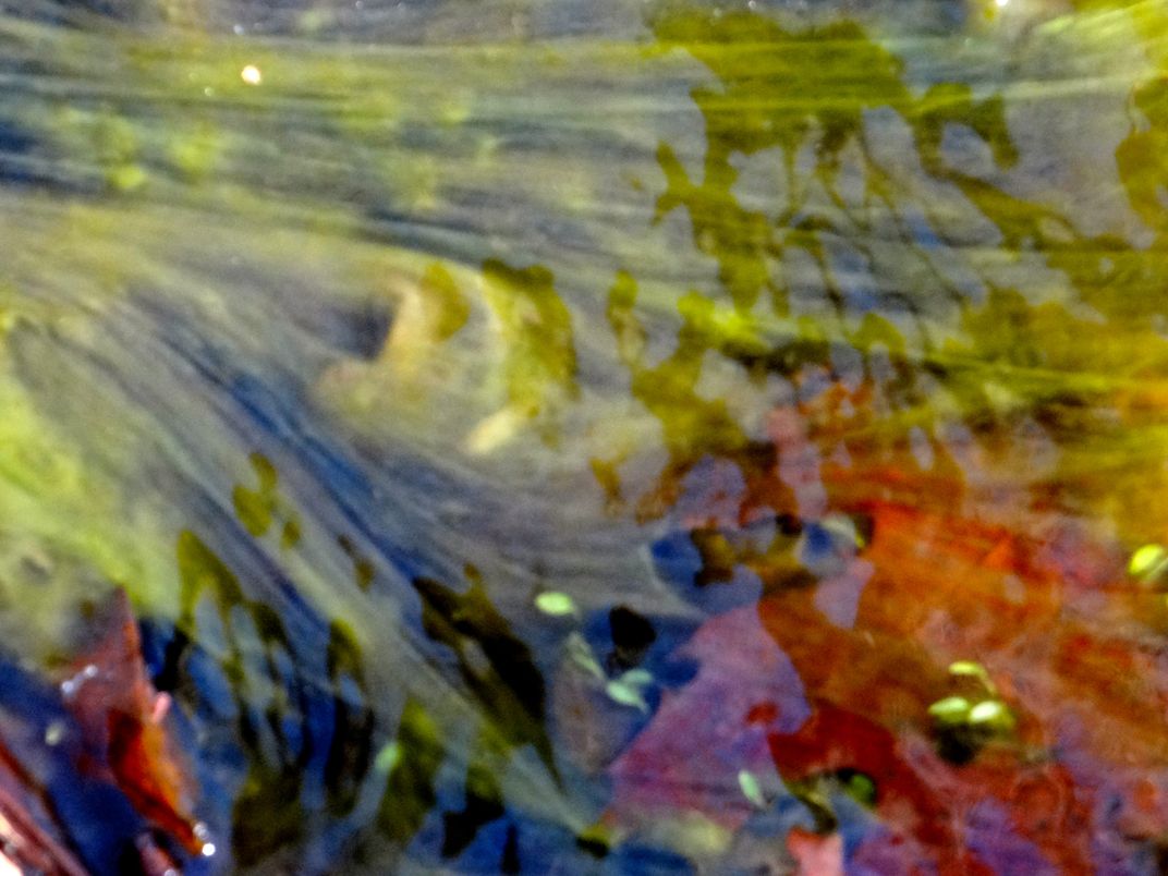 leaves in a stream | Smithsonian Photo Contest | Smithsonian Magazine