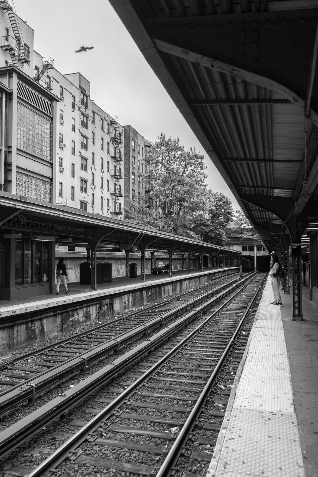 Morning Commute | Smithsonian Photo Contest | Smithsonian Magazine