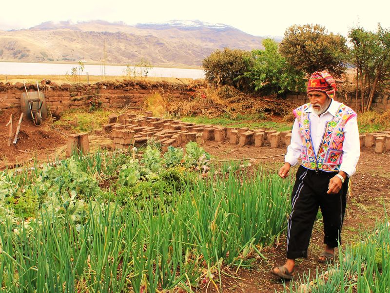 Native American Farming Techniques