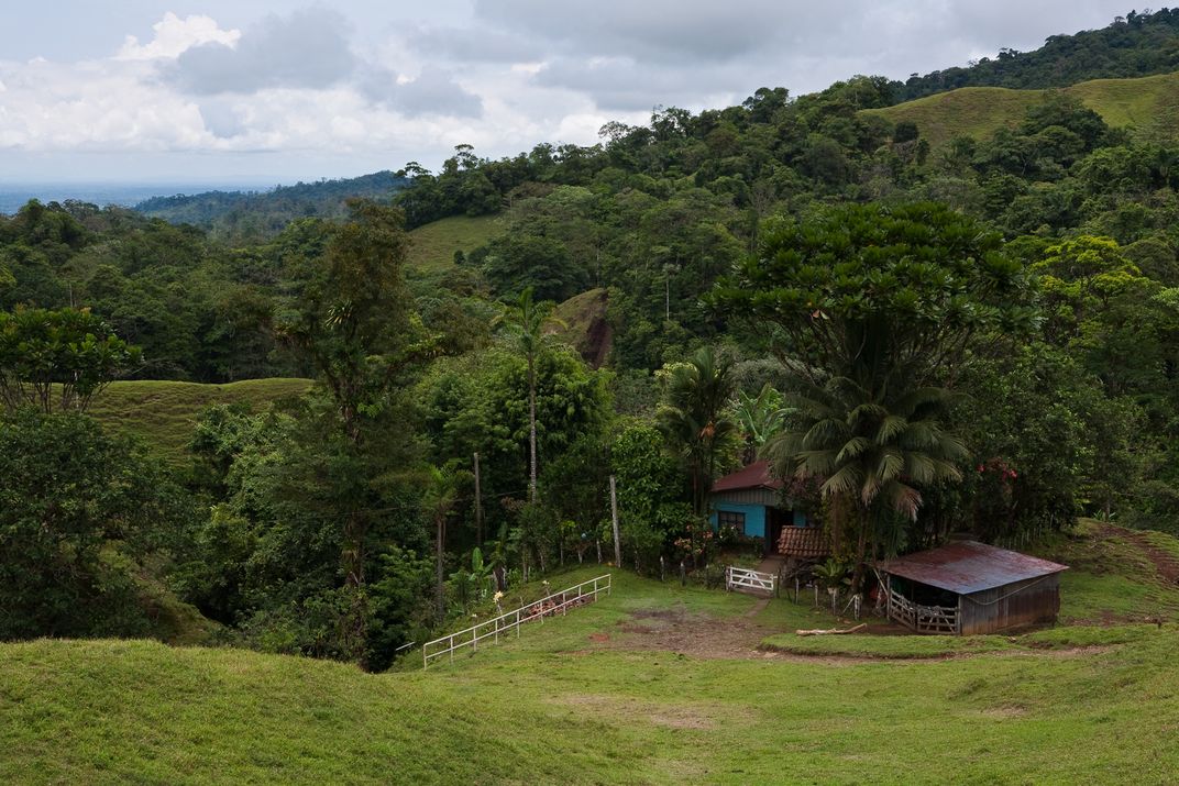 Family Farm - Costa Rica | Smithsonian Photo Contest | Smithsonian Magazine