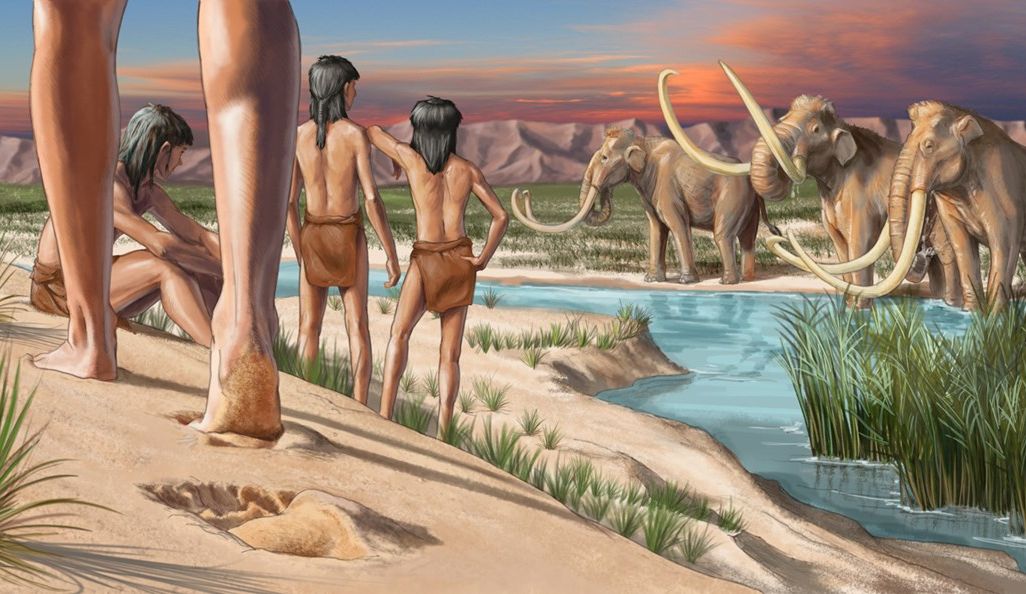 human evolution pictures