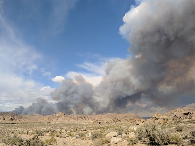 Fire in the desert | Smithsonian Photo Contest | Smithsonian Magazine