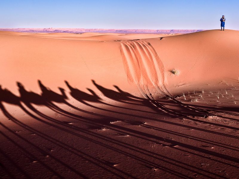 Shadows in the Desert | Smithsonian Photo Contest | Smithsonian Magazine