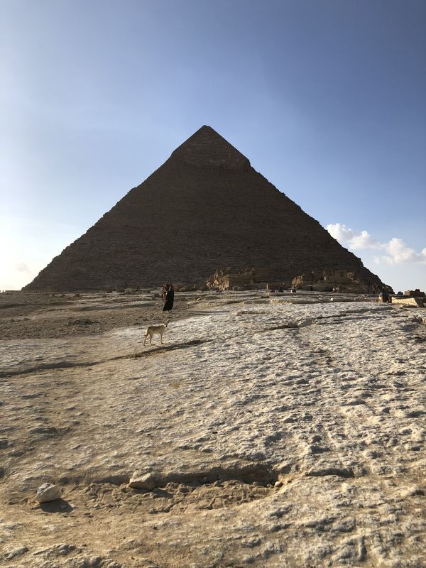 Latest dog Photos | Smithsonian Photo Contest | Smithsonian Magazine