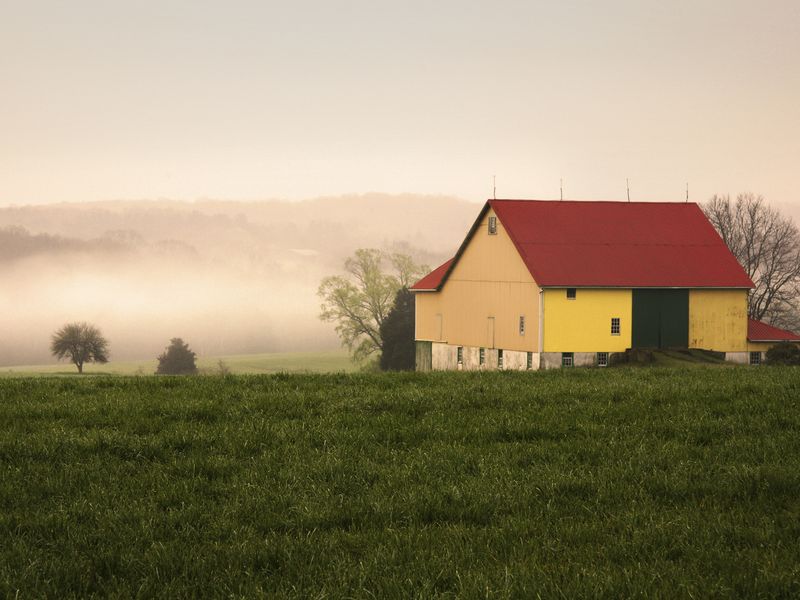 Yellow barn in the fog | Smithsonian Photo Contest | Smithsonian Magazine