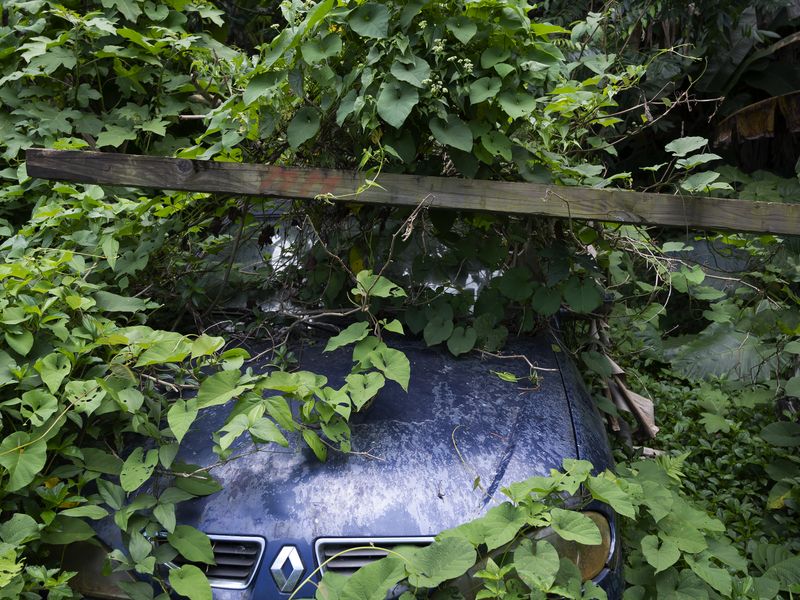 Nature taking back it's own rights | Smithsonian Photo Contest ...