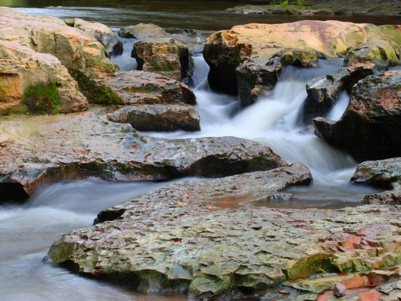 A rare rock stream in Mississippi during the fall season. | Smithsonian ...