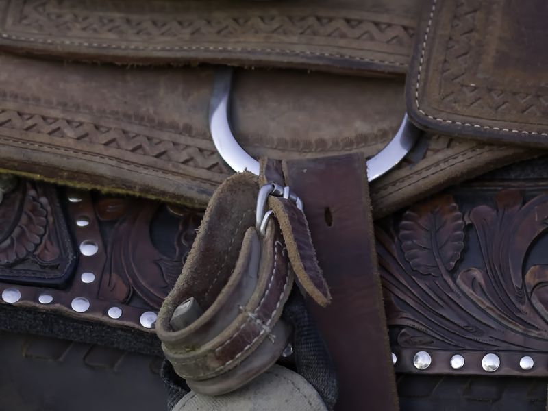 Roper's saddle at the Sikeston Jaycee Bootheel Rodeo in Sikeston ...