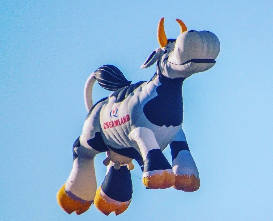 When cows fly | Smithsonian Photo Contest | Smithsonian Magazine