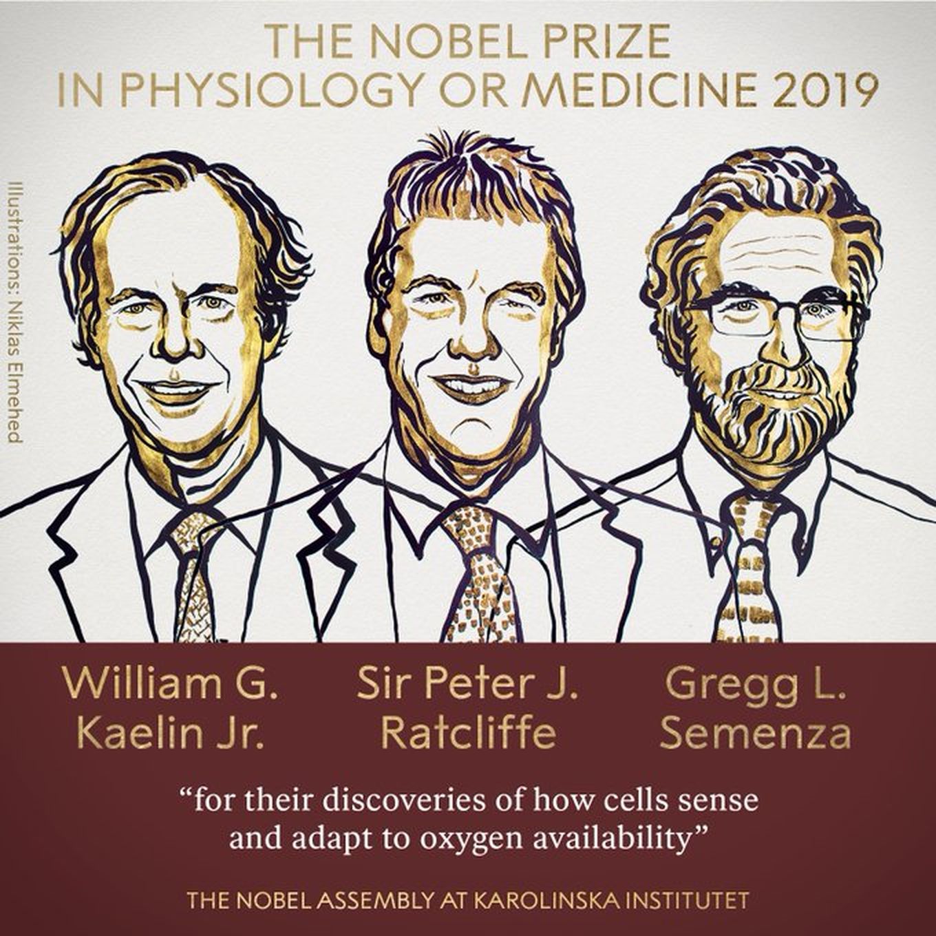 Nobel Prize in Medicine Awarded to Scientists Who Revealed How Cells ...