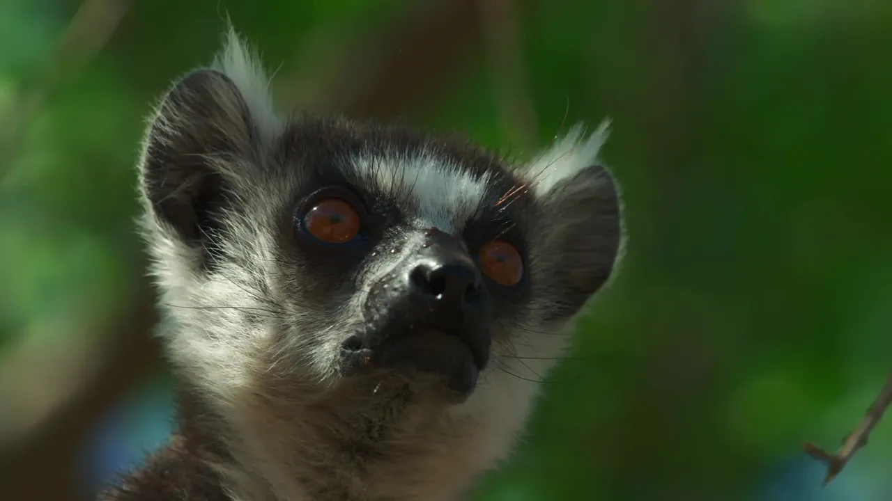 Smithsonian Magazine