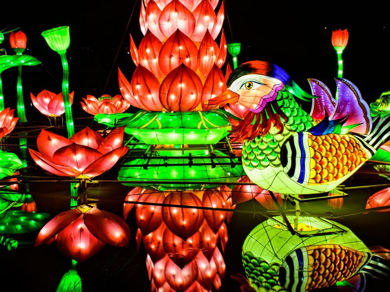 Chinese Latern Festival | Smithsonian Photo Contest | Smithsonian Magazine