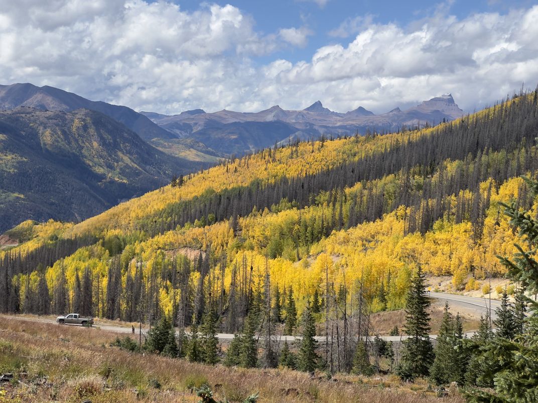 Autumn at peak of color. | Smithsonian Photo Contest | Smithsonian Magazine