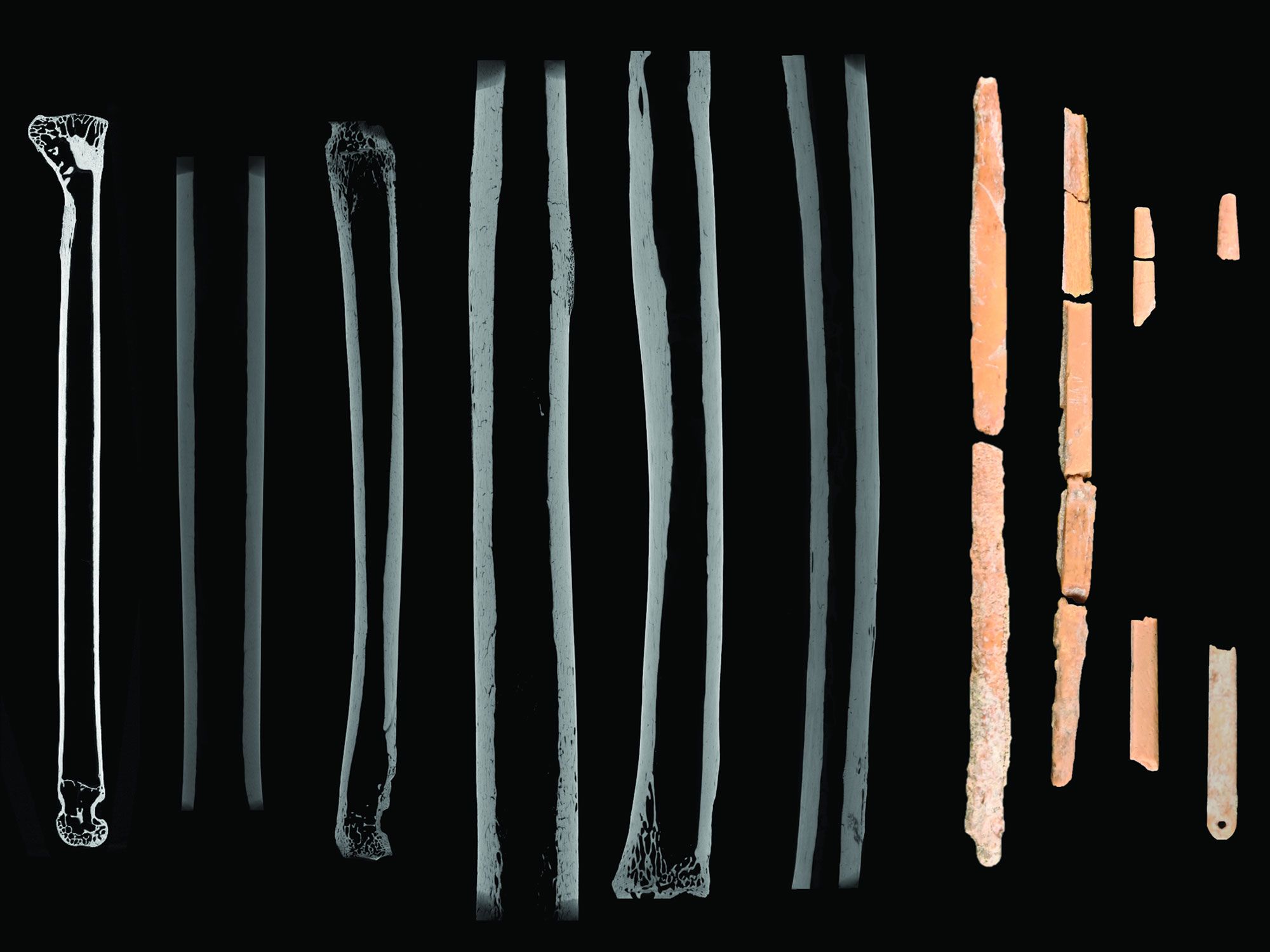 These Delicate Needles Made From Animal Bones May Have Helped ...