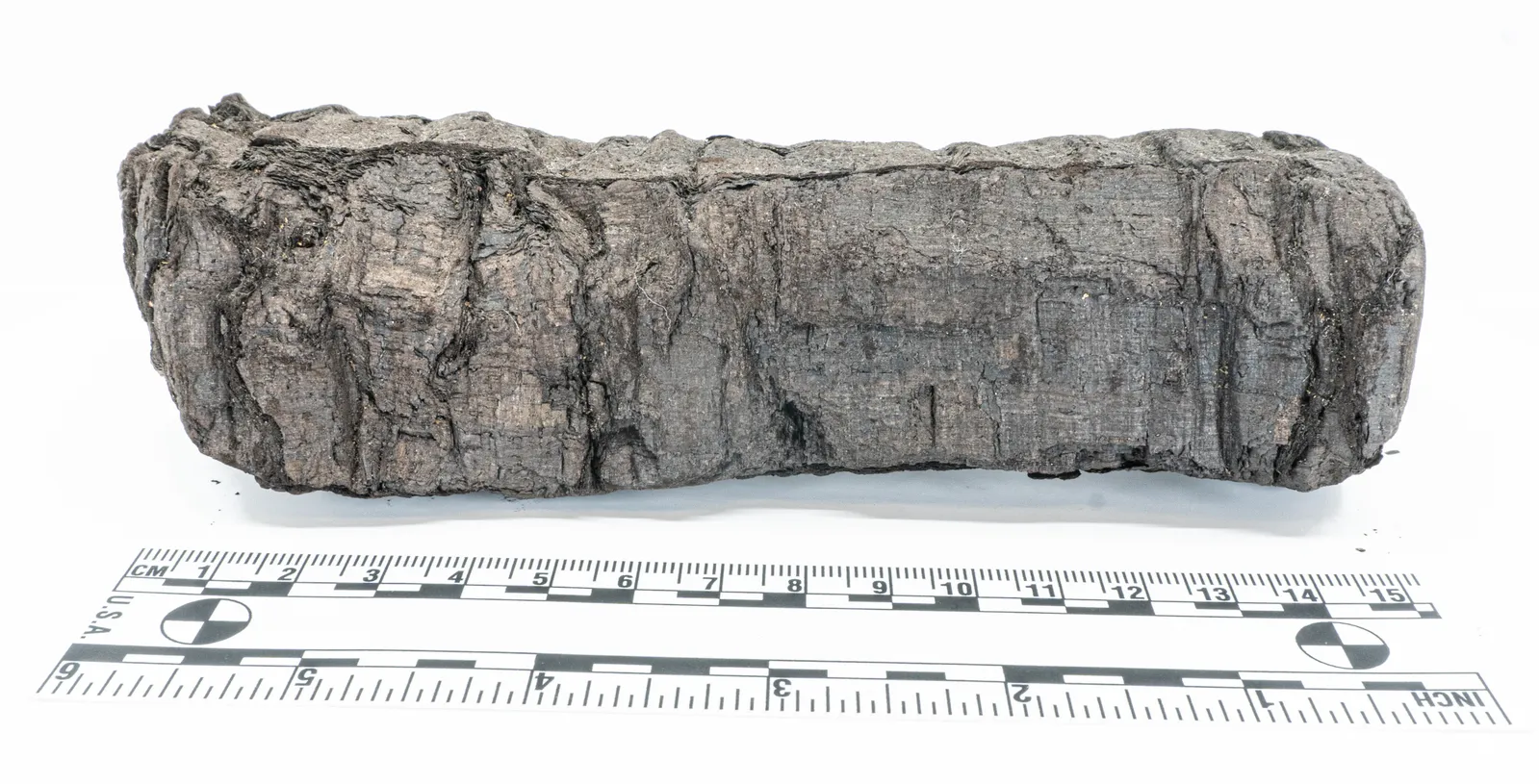 Using A.I., Researchers Peer Inside a 2,000-Year-Old Scroll Charred by ...