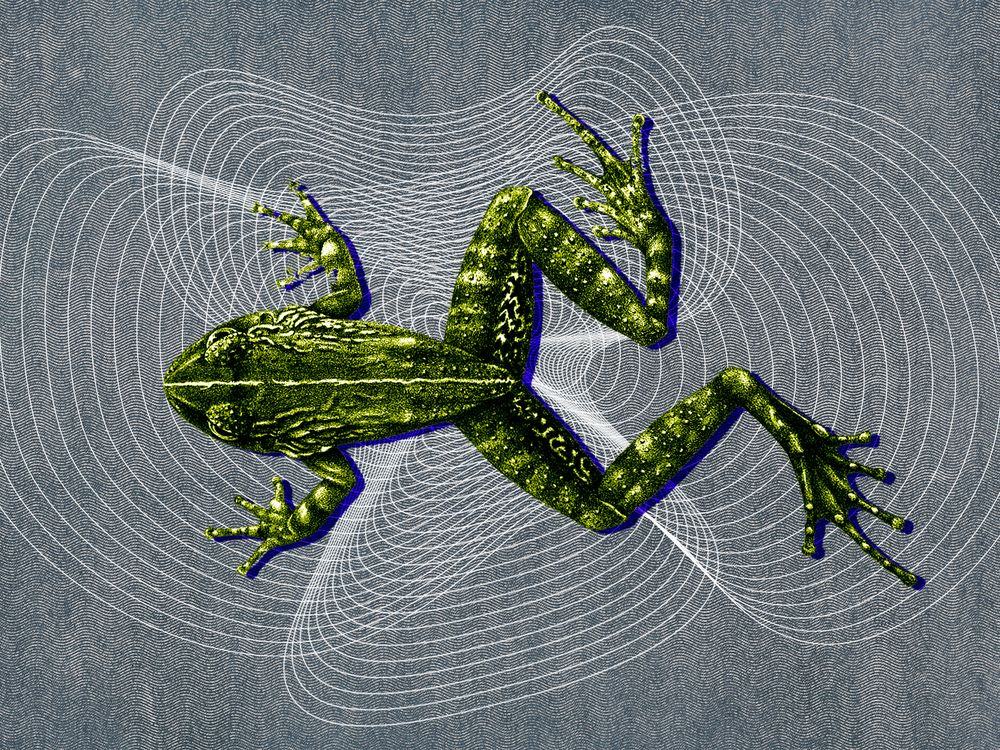 Before Meditation Apps, Listeners Were Hooked on Whale Songs, Rain ...