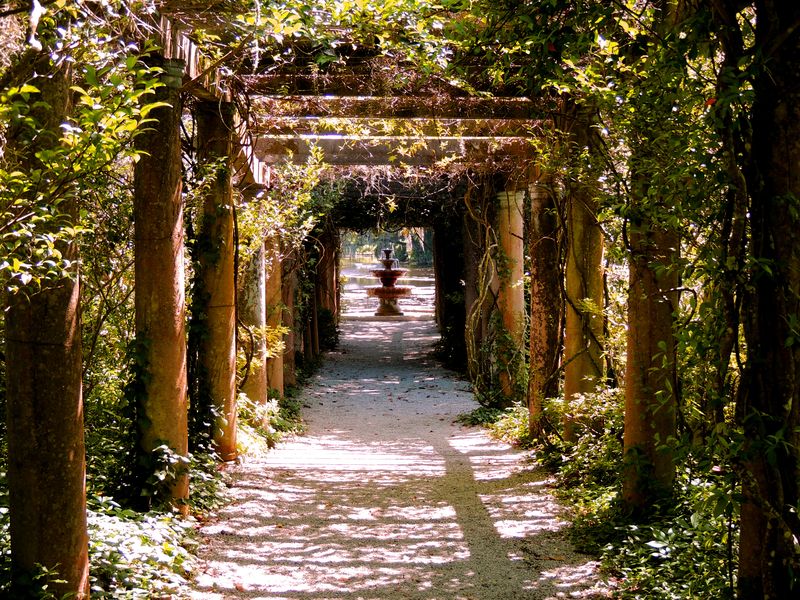 Garden Trail | Smithsonian Photo Contest | Smithsonian Magazine