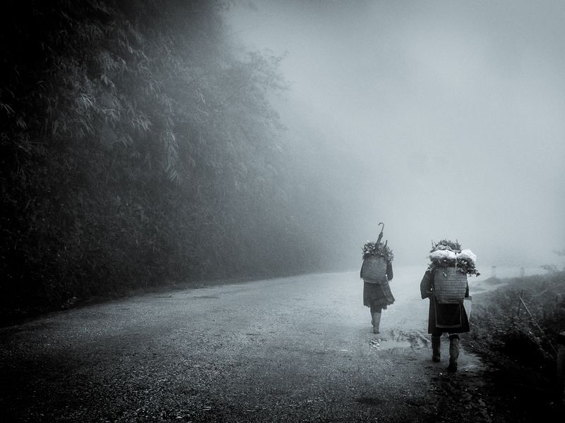 Walking through the mist | Smithsonian Photo Contest | Smithsonian Magazine