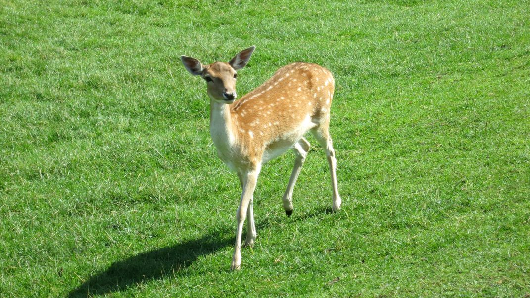 Light Stroll | Smithsonian Photo Contest | Smithsonian Magazine