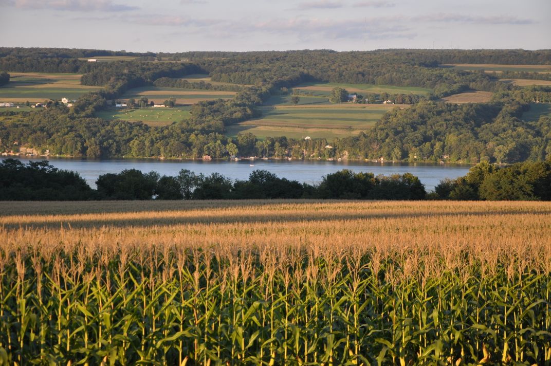 Finger Lakes Farms - A corn field over-looking Owasco Lake, NY with ...