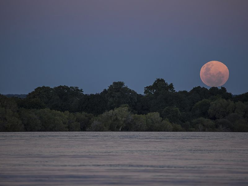 The full moon rises over the Zambezi River in Zimbabwe. | Smithsonian ...