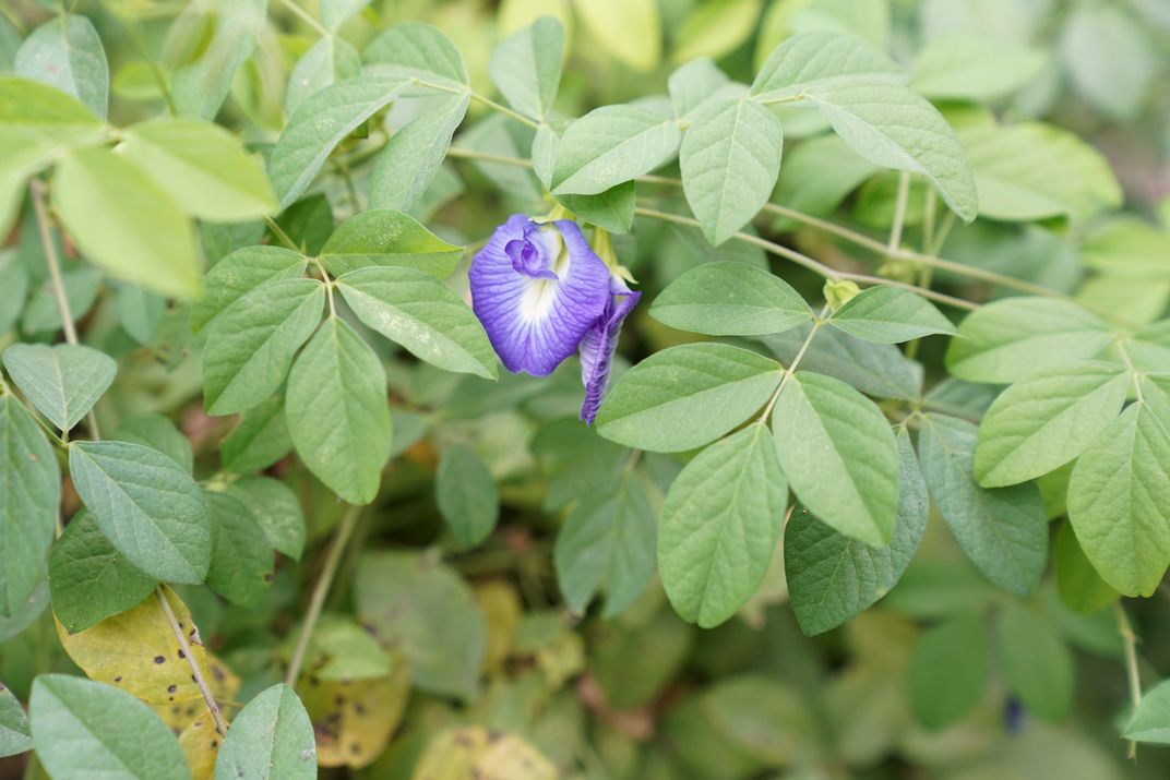 Hidden Color in Nature | Smithsonian Photo Contest | Smithsonian Magazine