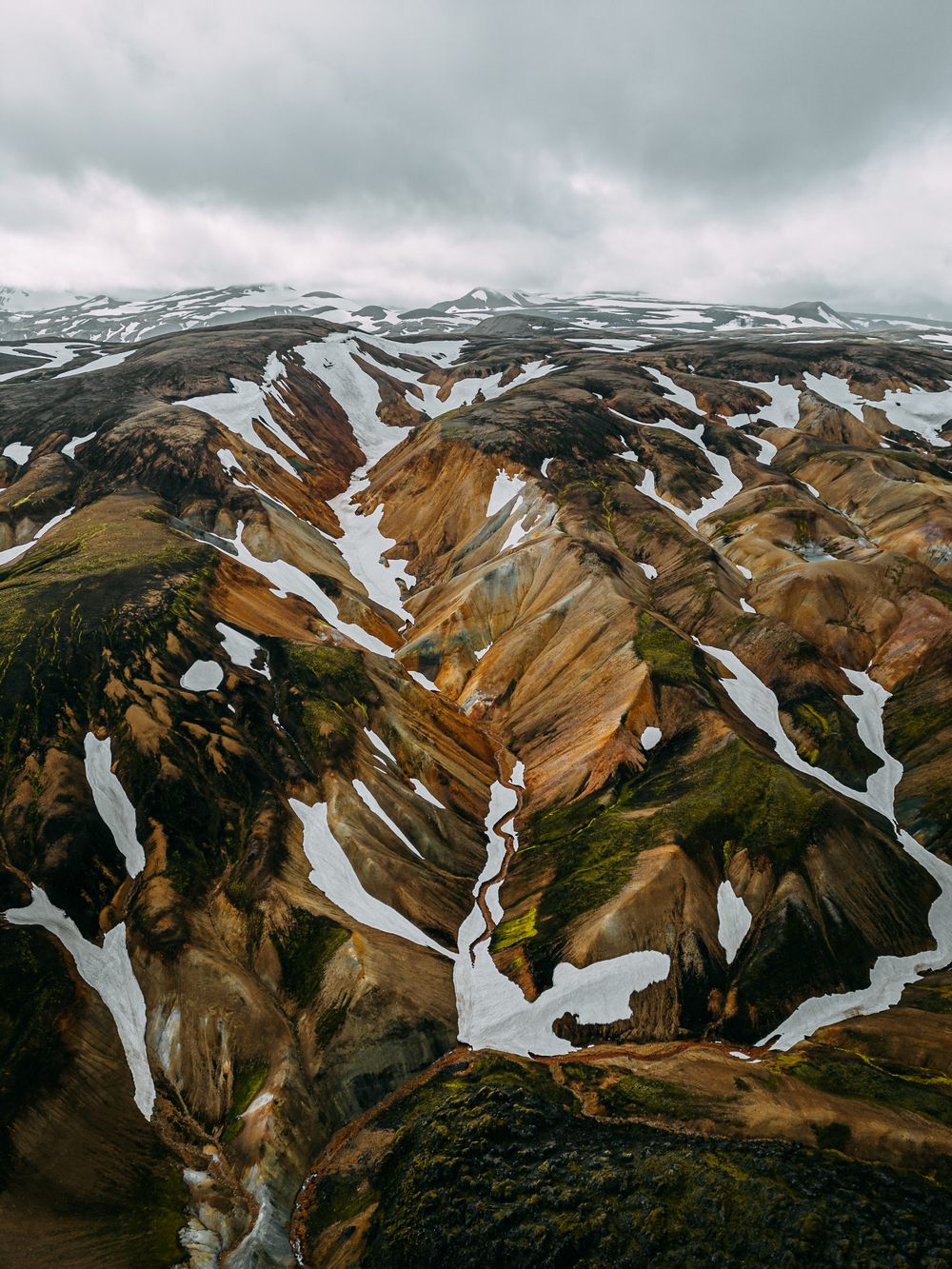 Smithsonian Magazine Daily Newsletter