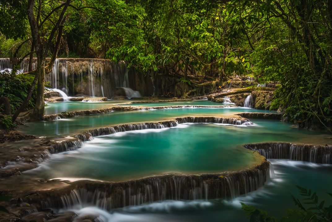 The Pond ··· Smithsonian Photo Contest Smithsonian Magazine