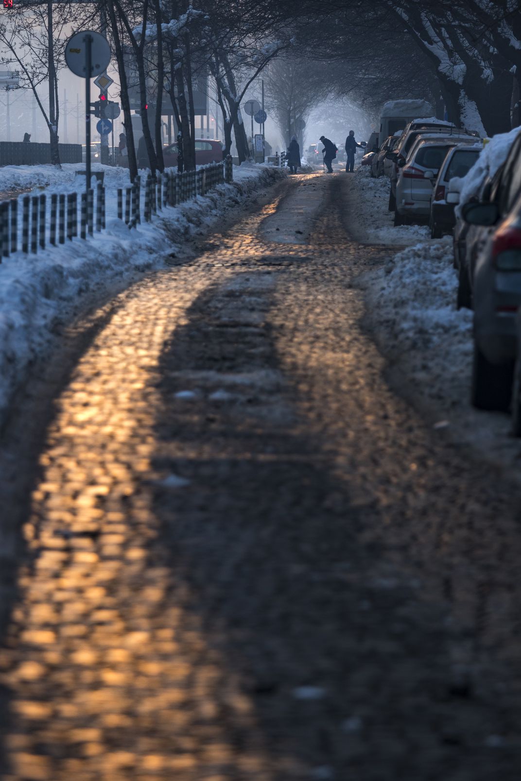 The Golden Way | Smithsonian Photo Contest | Smithsonian Magazine