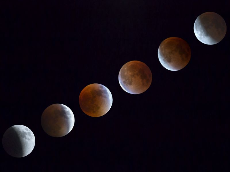 Blood Moon(s) | Smithsonian Photo Contest | Smithsonian Magazine