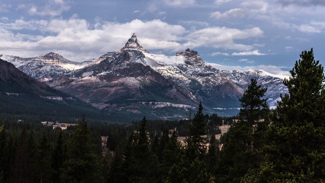 The Point of Nature | Smithsonian Photo Contest | Smithsonian Magazine
