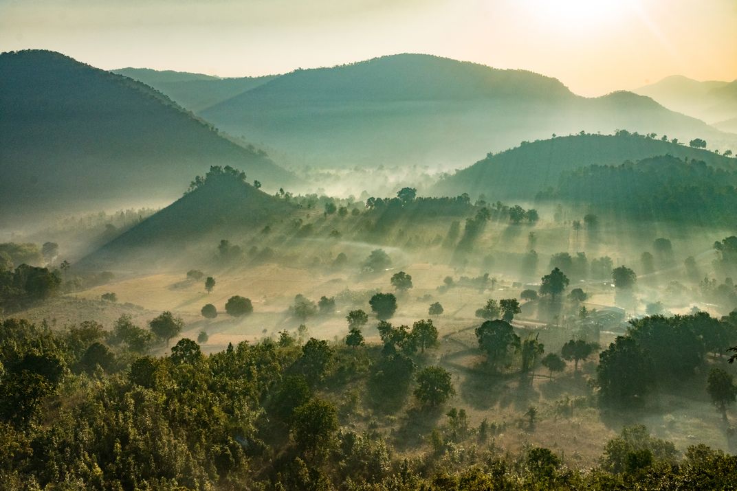 MORNING LIGHT | Smithsonian Photo Contest | Smithsonian Magazine