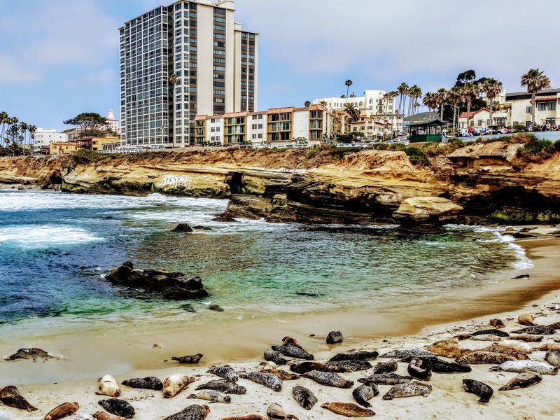 La Jolla | Smithsonian Photo Contest | Smithsonian Magazine