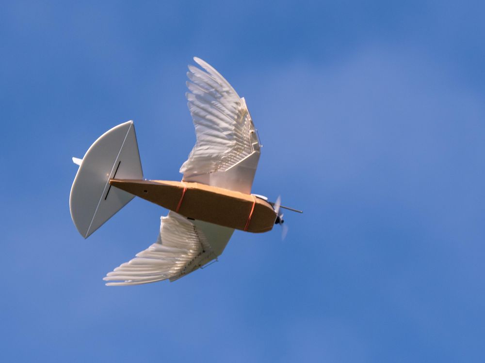 ‘PigeonBot’ Uses Real Feathers to Fly Like a Bird