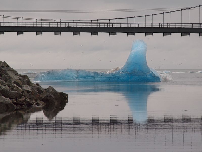 Freeze Frame | Smithsonian Photo Contest | Smithsonian Magazine