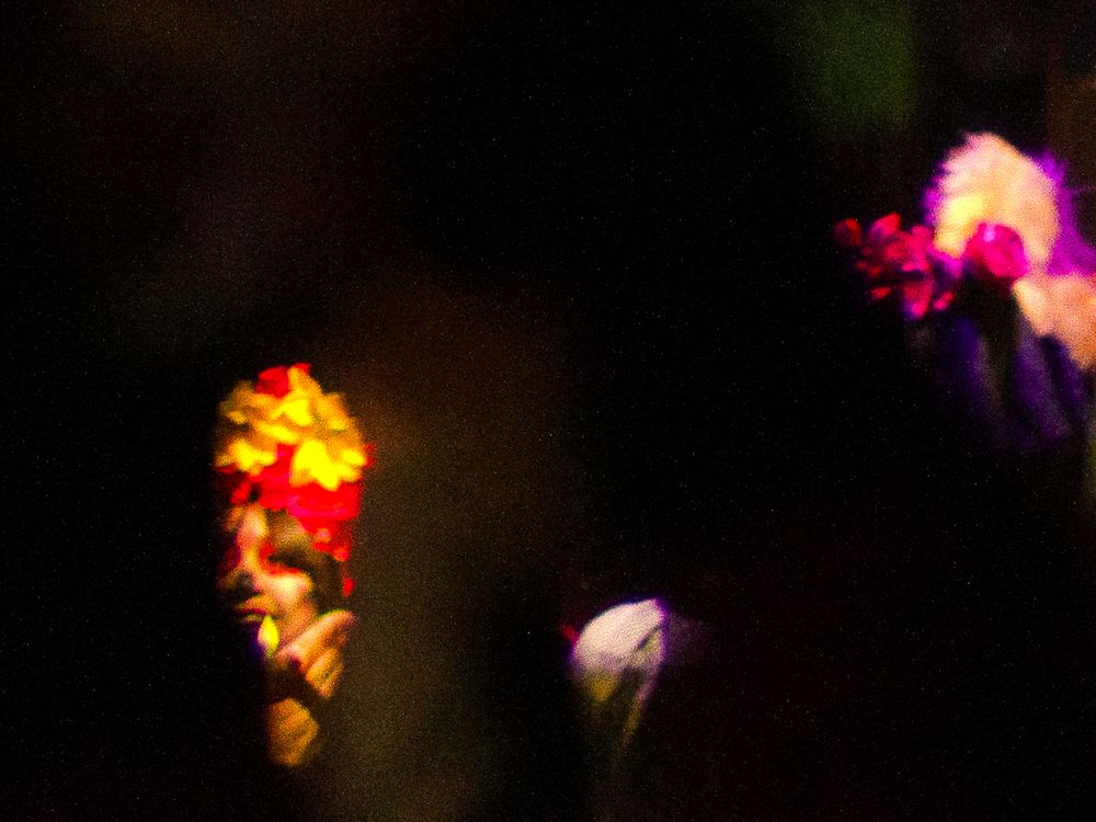 A Dancer Through the Clapping Crowd | Smithsonian Photo Contest ...